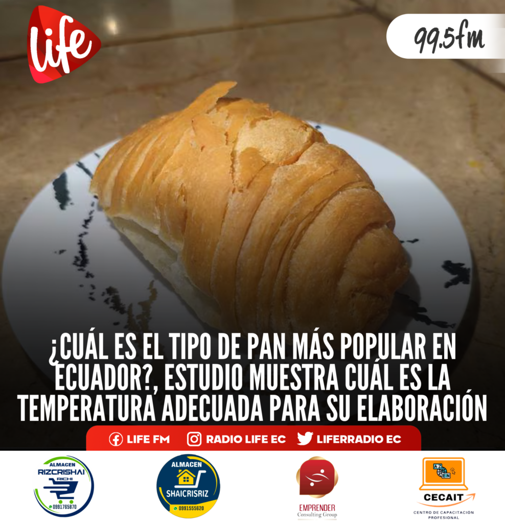 ¿CUÁL ES EL TIPO DE PAN MÁS POPULAR EN ECUADOR?, ESTUDIO MUESTRA CUÁL ...