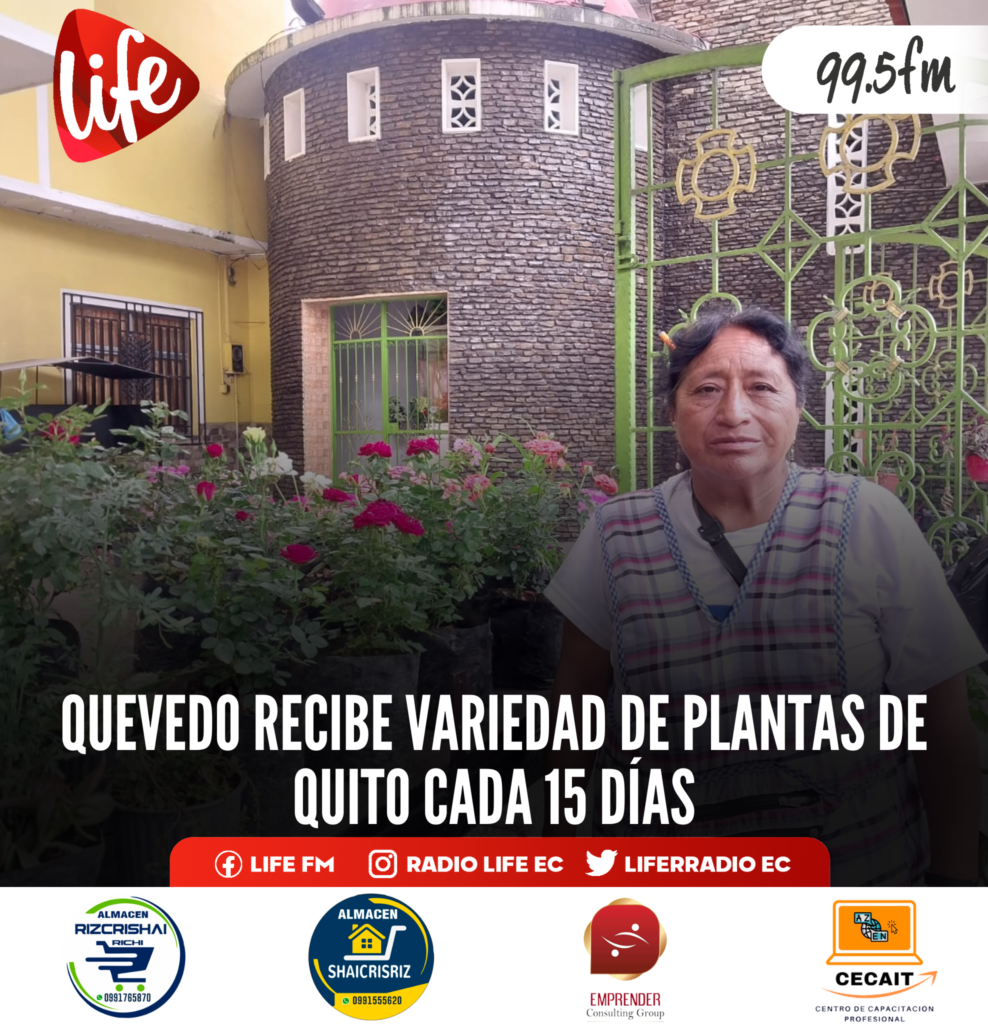Quevedo recibe variedad de plantas de Quito cada 15 días - LIFE FM