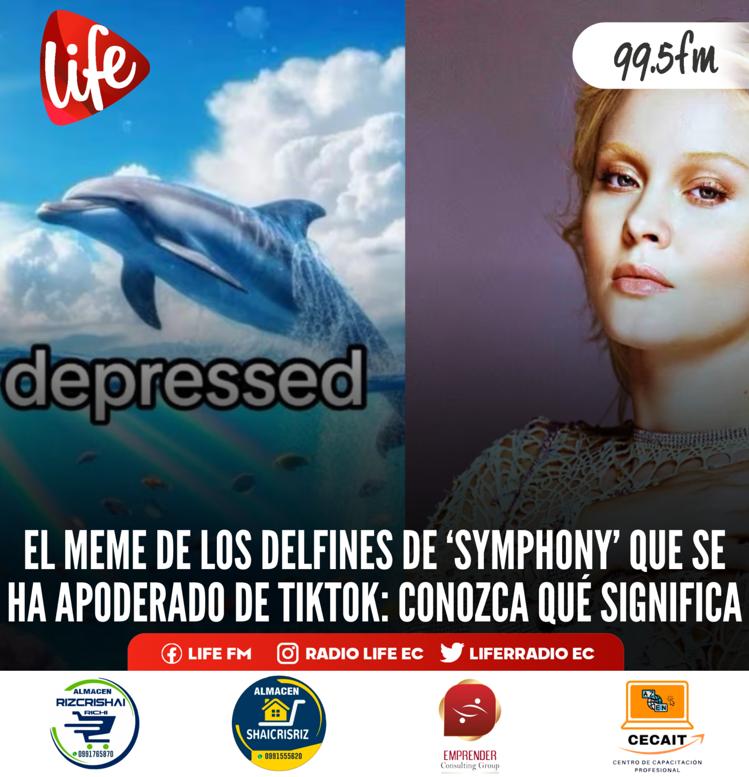 EL MEME DE LOS DELFINES DE ‘SYMPHONY’ QUE SE HA APODERADO DE TIKTOK ...