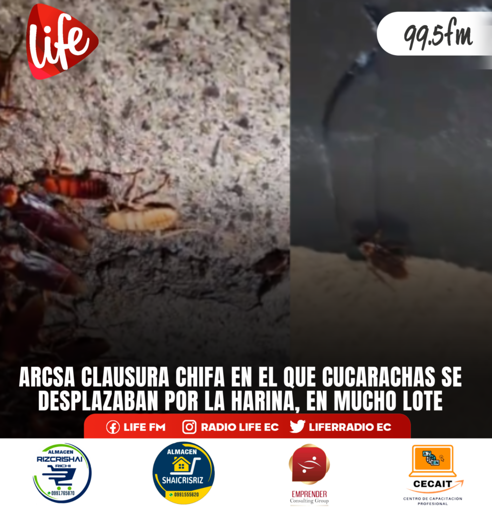 ARCSA CLAUSURA CHIFA EN EL QUE CUCARACHAS SE DESPLAZABAN POR LA HARINA ...